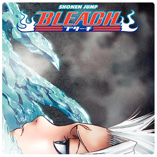 Bleach 25 - Hitsugaya Toshiro (Folder Icon) by Saku434 on DeviantArt