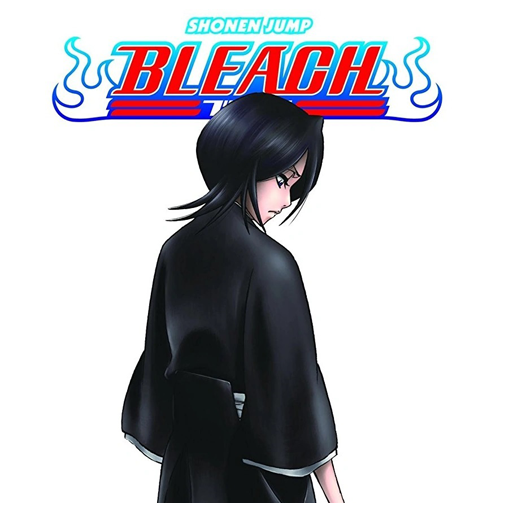 Bleach 28 - Kuchiki Rukia (Folder Icon) by Saku434 on DeviantArt