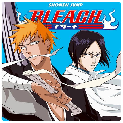 Bleach 69 - Ichigo and Uryuu (Folder Icon) by Saku434 on DeviantArt