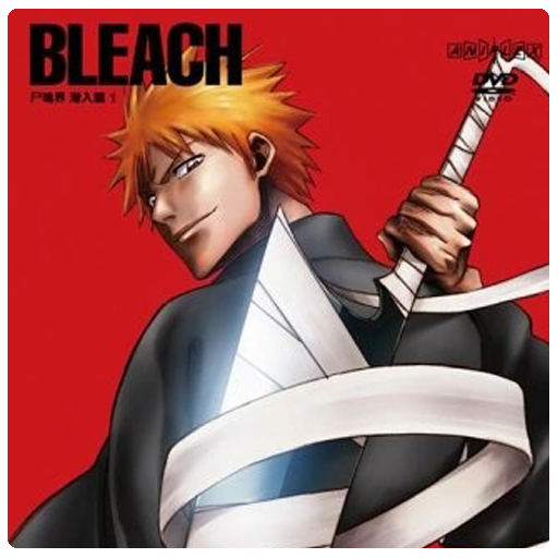 Bleach 89 - Kurosaki Ichigo (Folder Icon) by Saku434 on DeviantArt