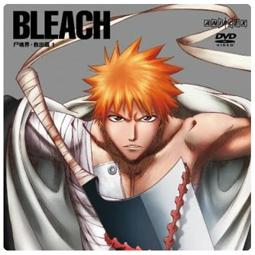 Bleach 94 - Kurosaki Ichigo (Folder Icon) by Saku434 on DeviantArt