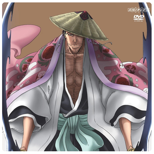 Bleach 147 - Kyoraku Shunsui (Folder Icon) by Saku434 on DeviantArt