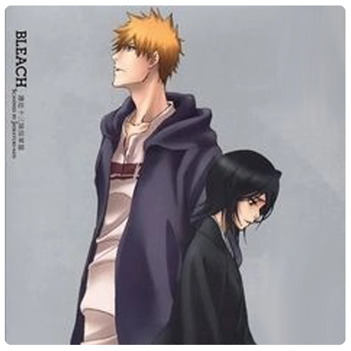 Bleach 165 - Ichigo and Rukia (Folder Icon) by Saku434 on DeviantArt