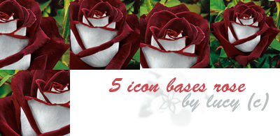 icons bases rose by shininglucy on DeviantArt