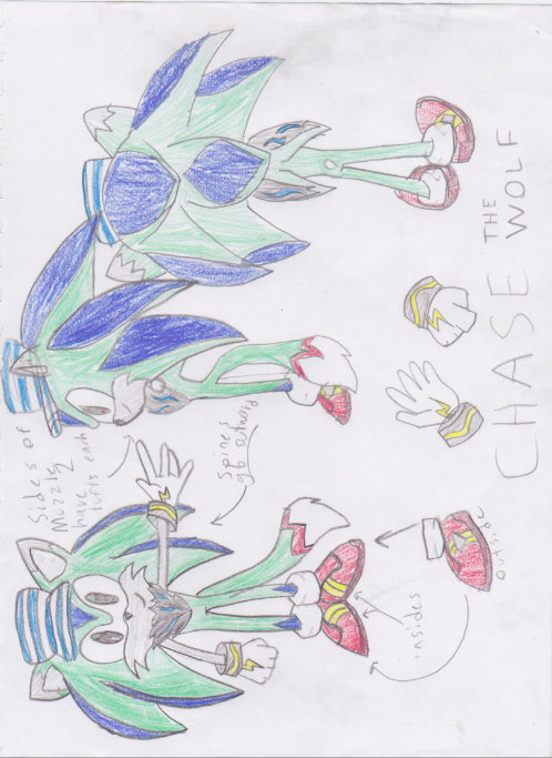Chase Reference by WolfDude2002 on DeviantArt