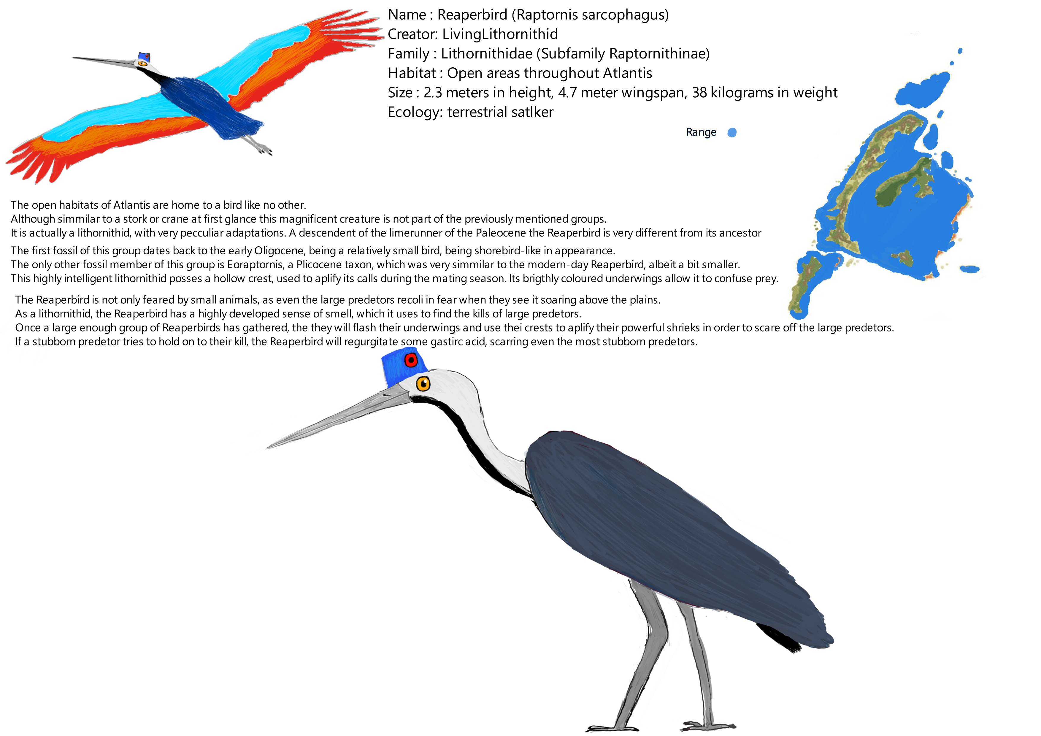 Reaperbird by LivingLithornithid on DeviantArt