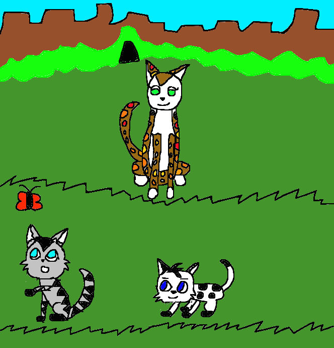 Kitten Play! by LilacPupp on DeviantArt