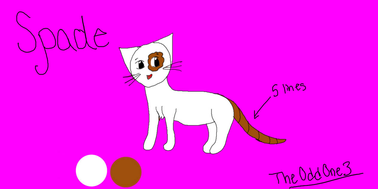 Spade Reference Sheet by TheOddOne3 on DeviantArt