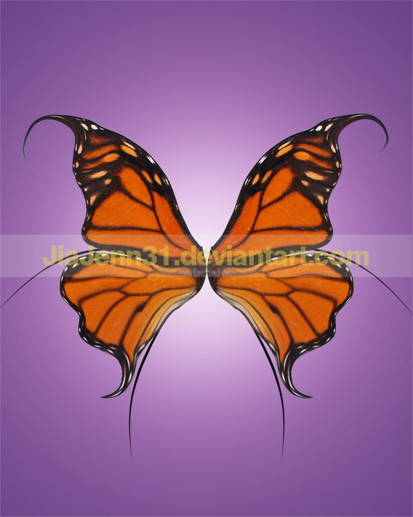 Orange Fantasy wing by jiajenn on DeviantArt