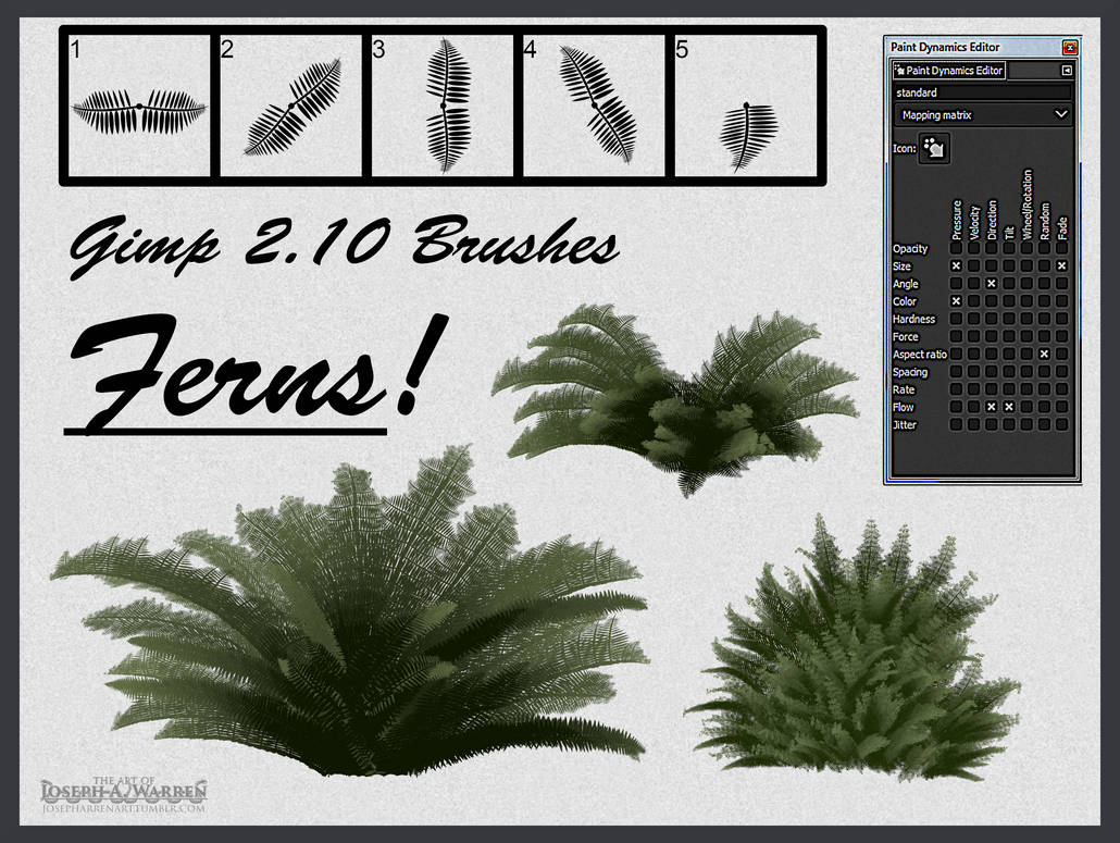Free Custom Made Fern Brushes by vcubestudios on DeviantArt
