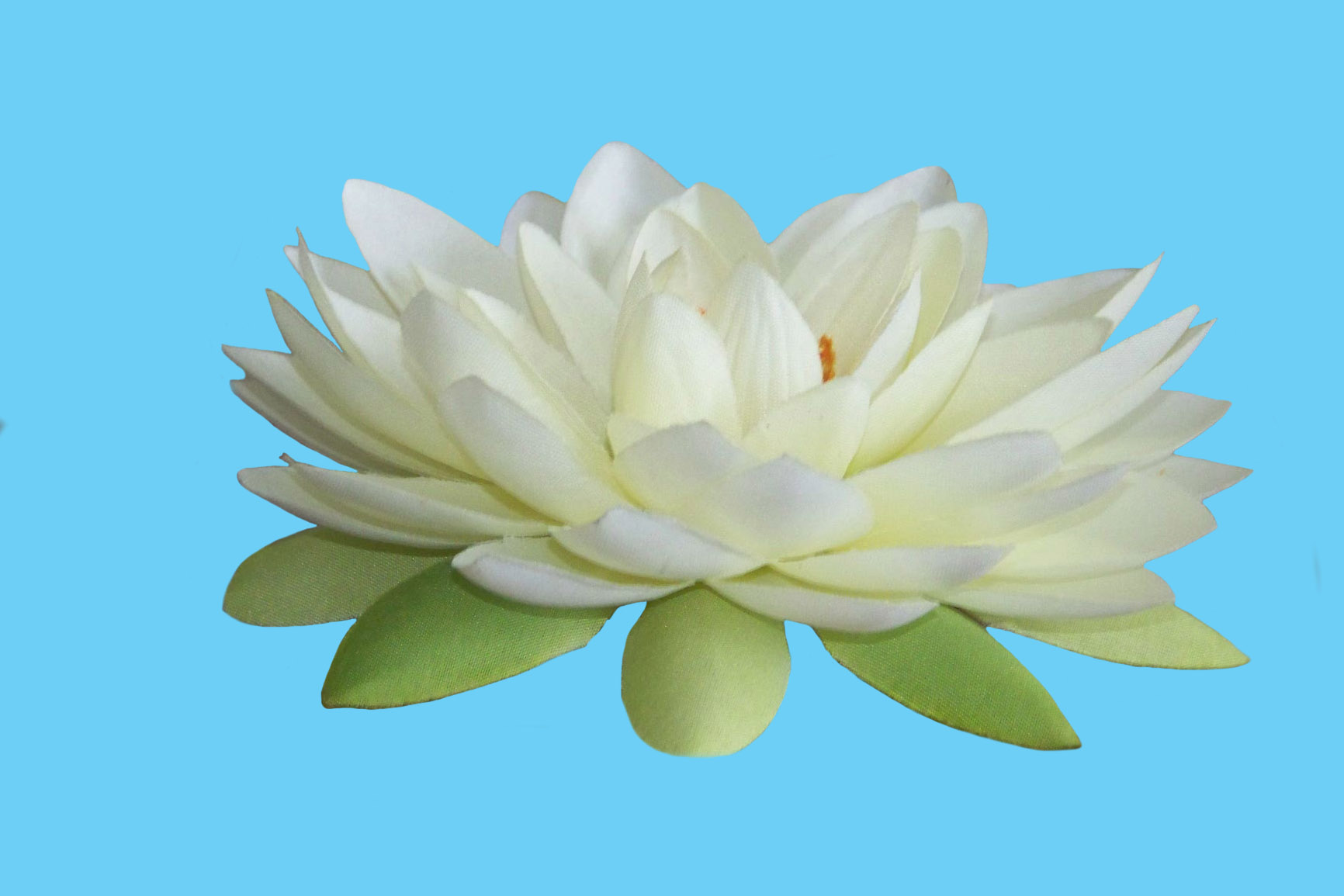 Lotus pdf zip file by mandykat on DeviantArt