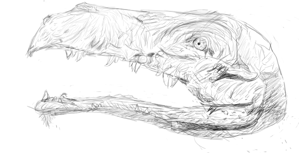 Skeksi from The Dark Crystal by TGFpictures on DeviantArt