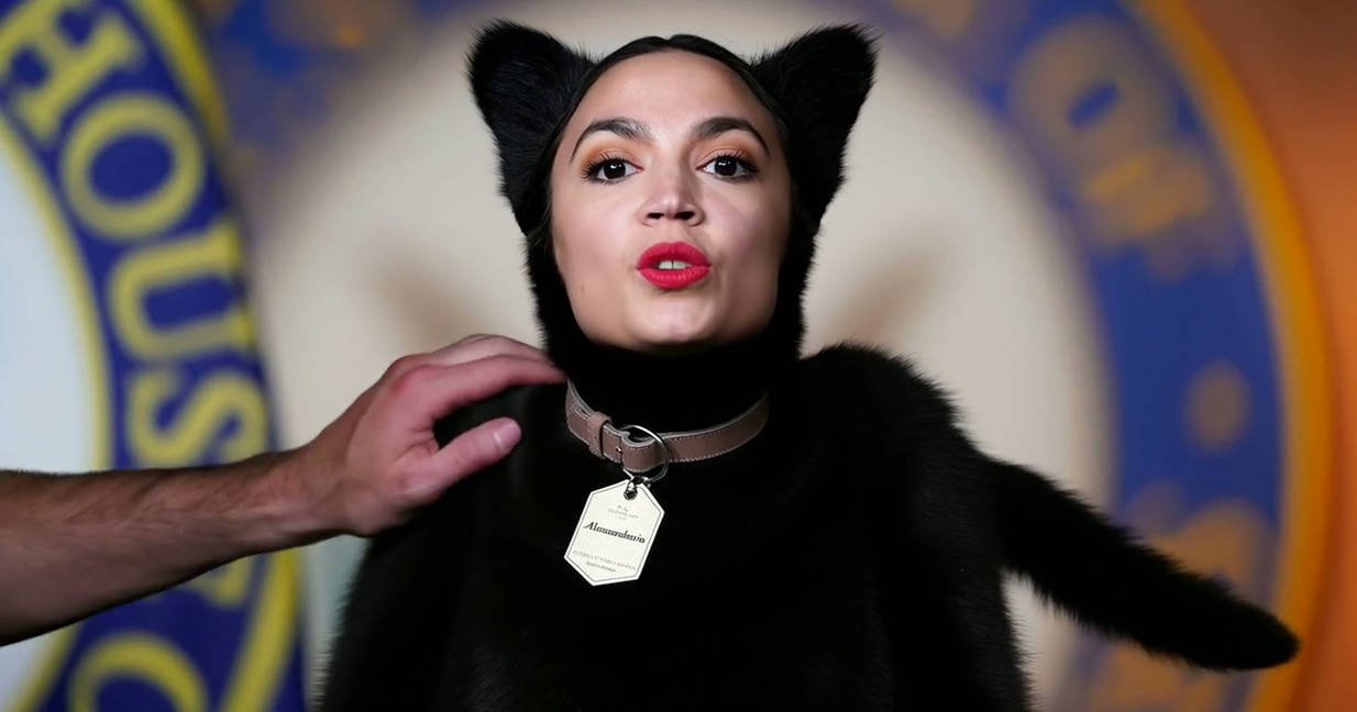 CONGRESSIONAL CATGIRL AOC ADDRESSING CONGRESS 3 by WindyCity1837 on ...