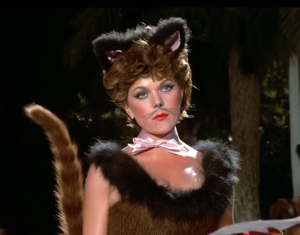 KITTY CAT ANN JILLIAN AT ANOTHER PETA RALLY by WindyCity1837 on DeviantArt