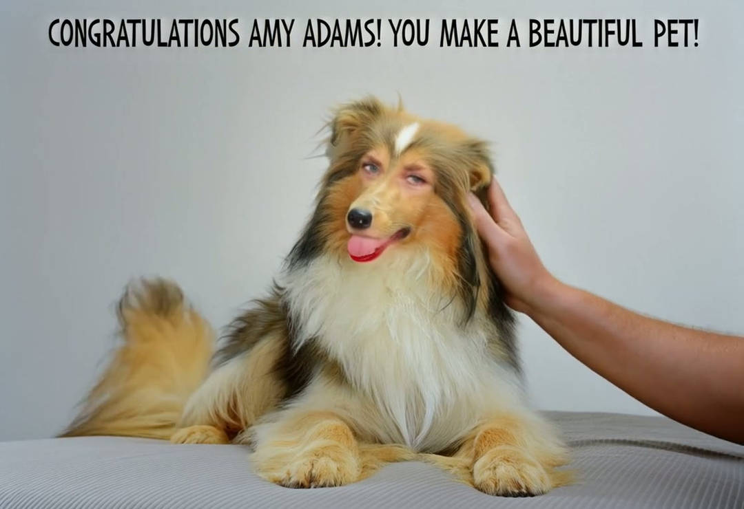 CONGRATULATIONS, AMY ADAMS! YOU MAKE A FINE PET! by WindyCity1837 on ...