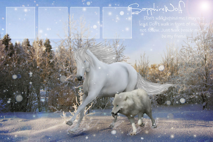 Silver Wolf Layout by PureBredDressage on DeviantArt