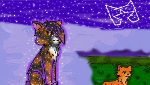 Spottedleaf by YukiYoruWolf on DeviantArt