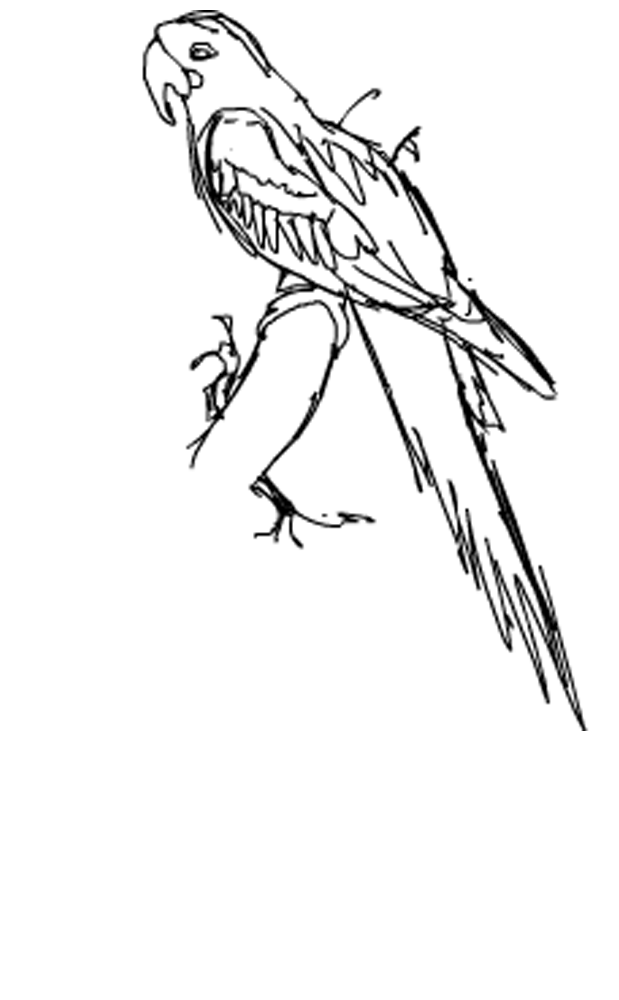 Abandoned Parrot Animation by The-Dionysian on DeviantArt