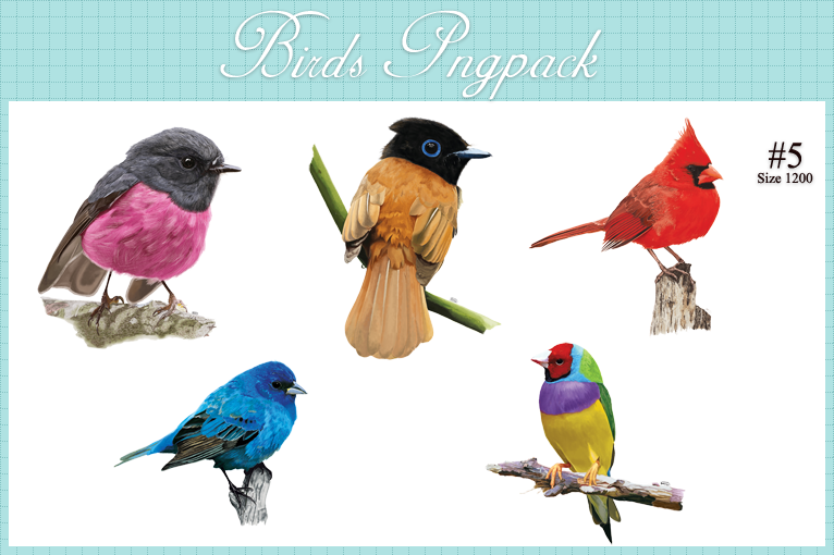 Birds Pngpack by LilithDemoness on DeviantArt