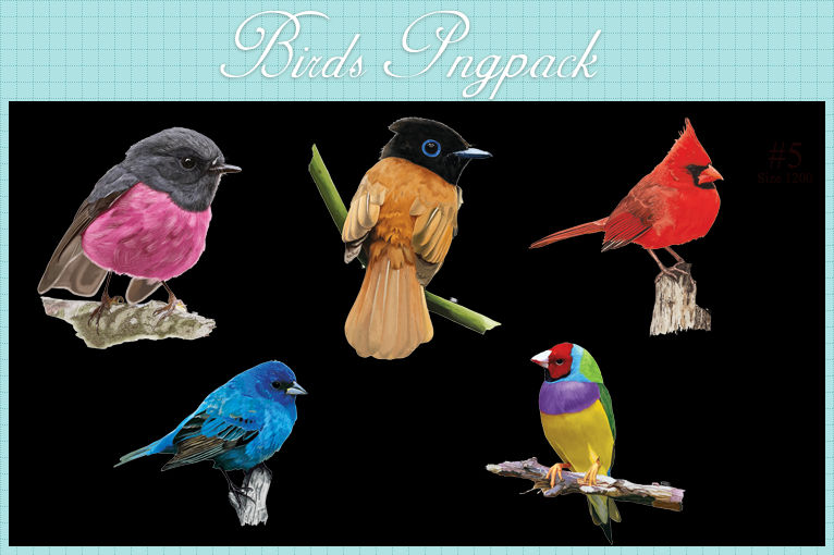 Birds Pngpack by LilithDemoness on DeviantArt