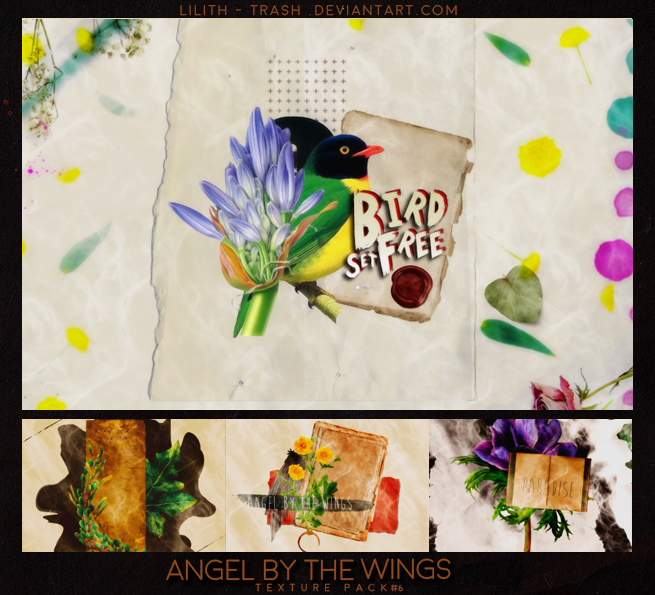 Angel By The Wings Textures #6 by LilithDemoness on DeviantArt