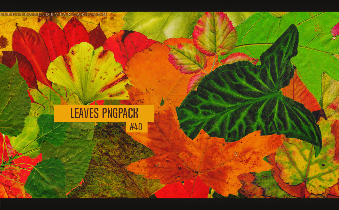 Leaves Pngpack #40 by LilithDemoness on DeviantArt