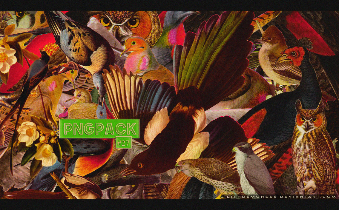 Png Birds #27 by LilithDemoness on DeviantArt