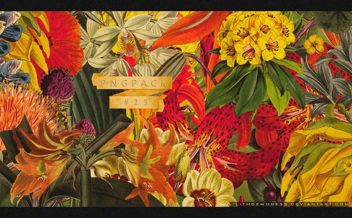 Botanic Illustrations Pngs by LilithDemoness on DeviantArt