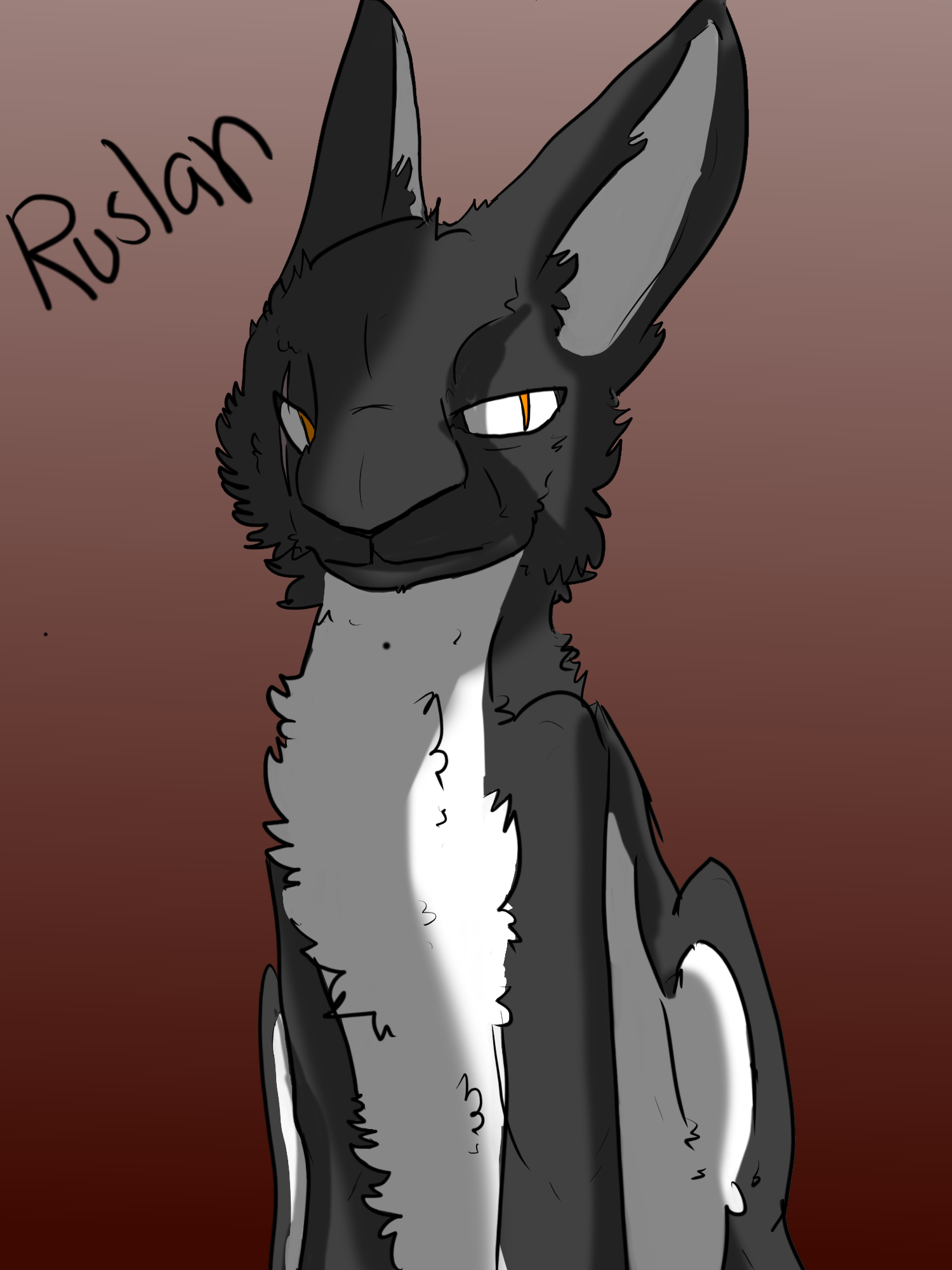 Ruslan the Russian Cat by Puplip on DeviantArt
