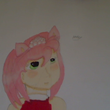 Amy the hedgehog-human form by FemeItaly on DeviantArt