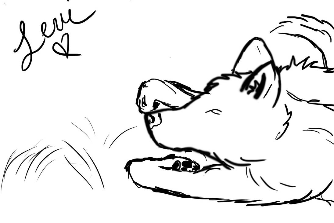 Free Use Wolf Lines by SAJAC on DeviantArt