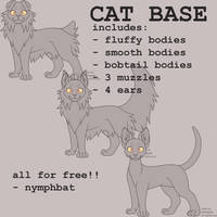 Explore the Best Catbase Art | DeviantArt