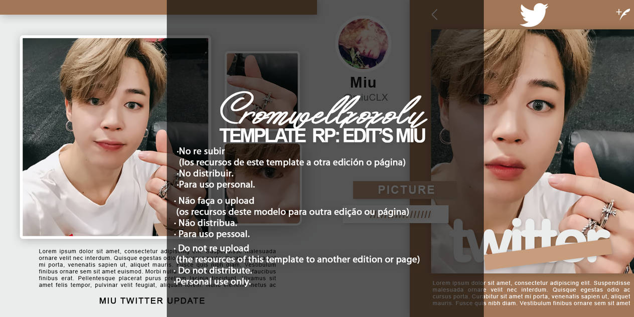 Template Twitter 2 by CromwellXoxoLu on DeviantArt