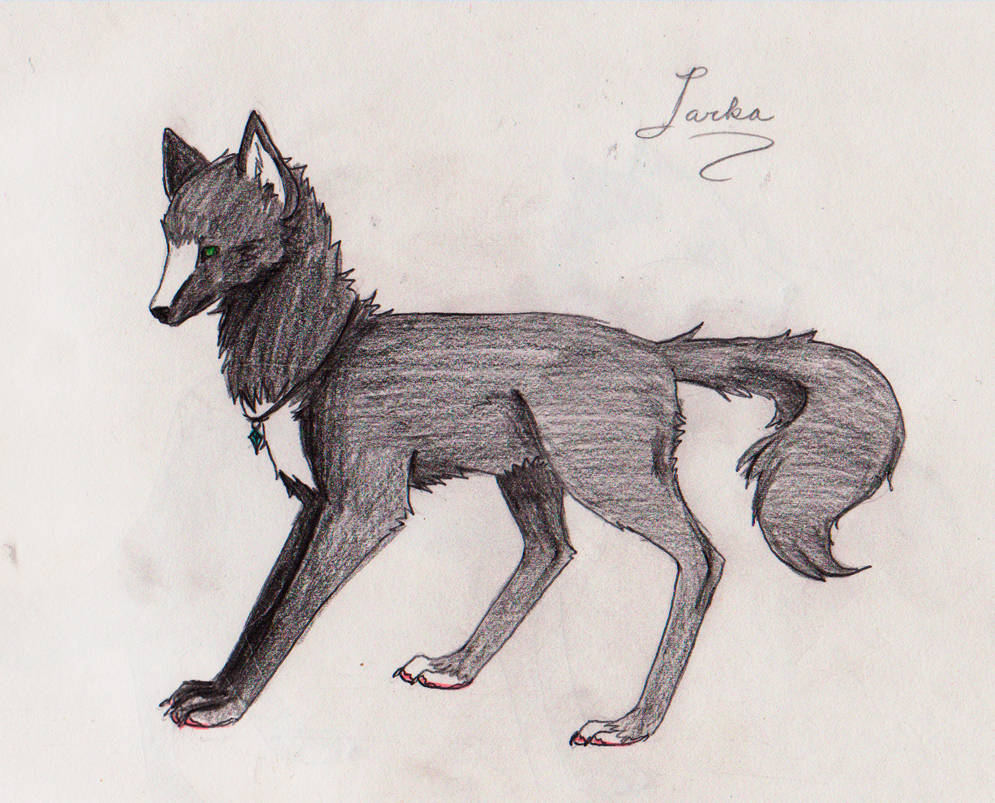Larka colored by NinjaPotatoCat on DeviantArt
