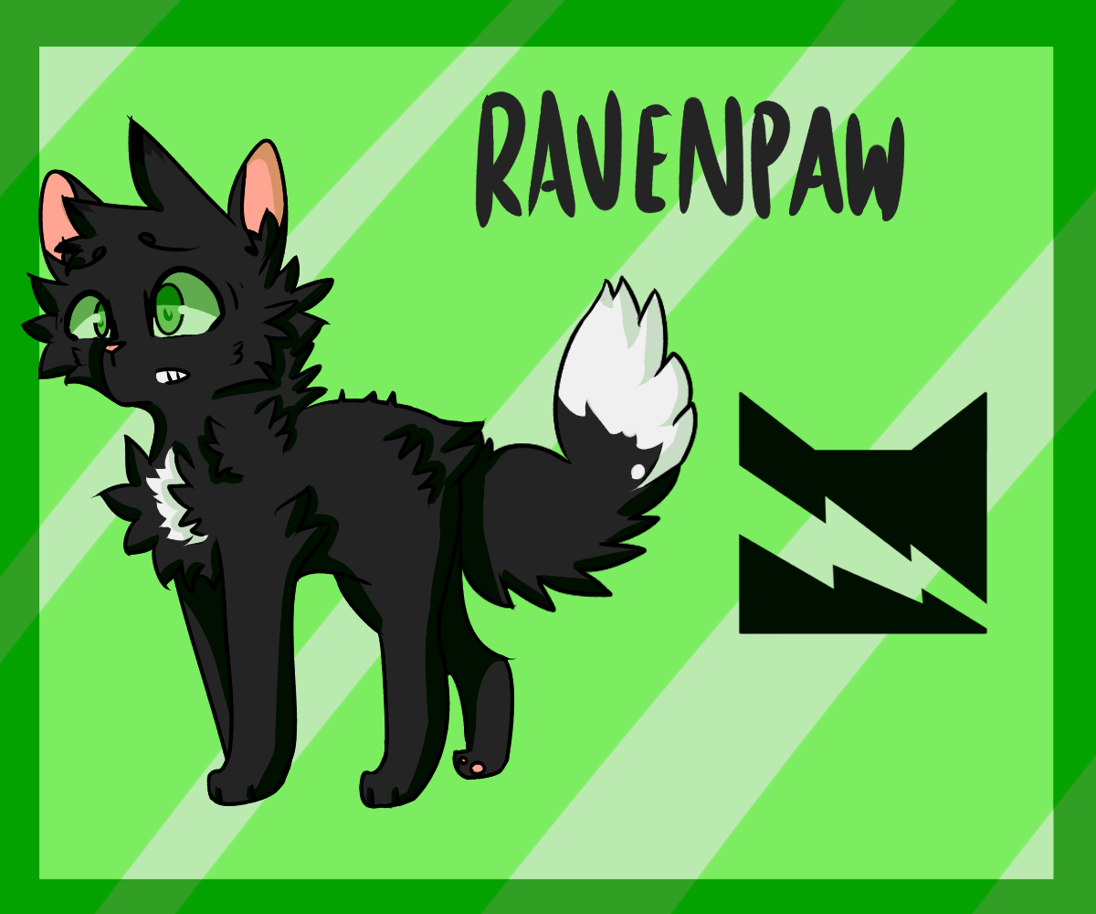 Ravenpaw-TC by Skyhawk345 on DeviantArt