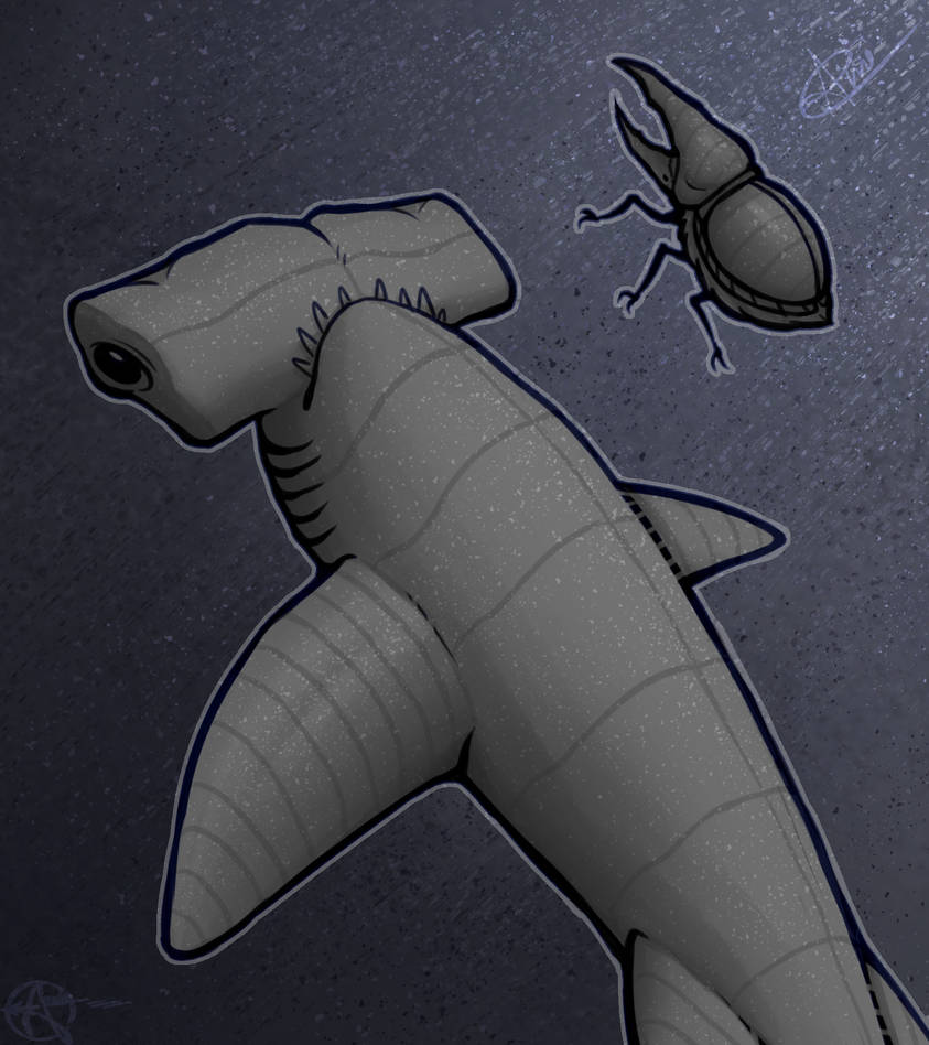HammerHead Shark + Hercules Beetle Base by AkiraDatoeys on DeviantArt
