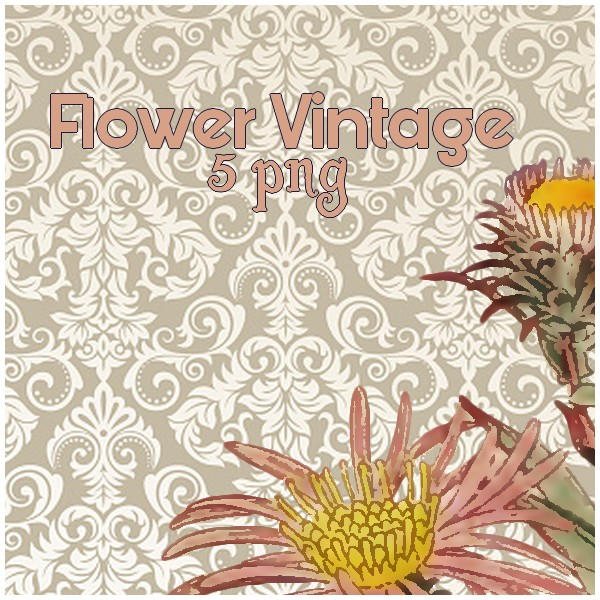Vintage Flower by alicecullenefp on DeviantArt