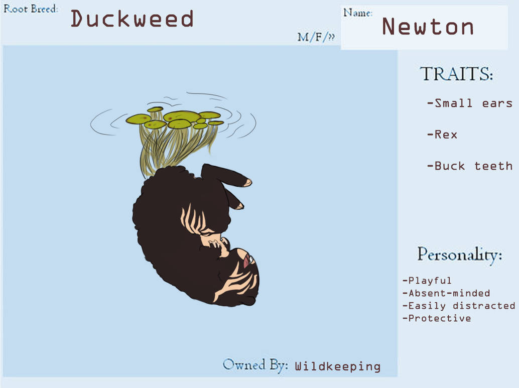 Newton Reference Sheet by wildkeeping on DeviantArt