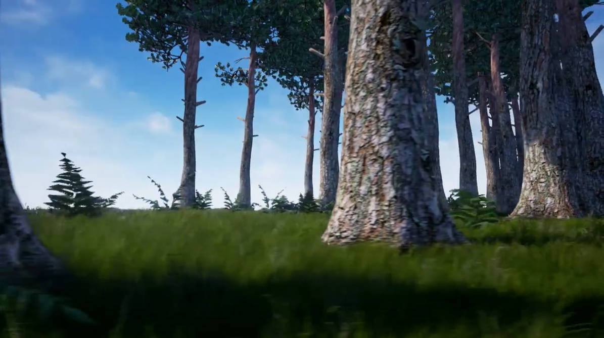 UE4 Forest (Animation) by CLLFTVTV on DeviantArt