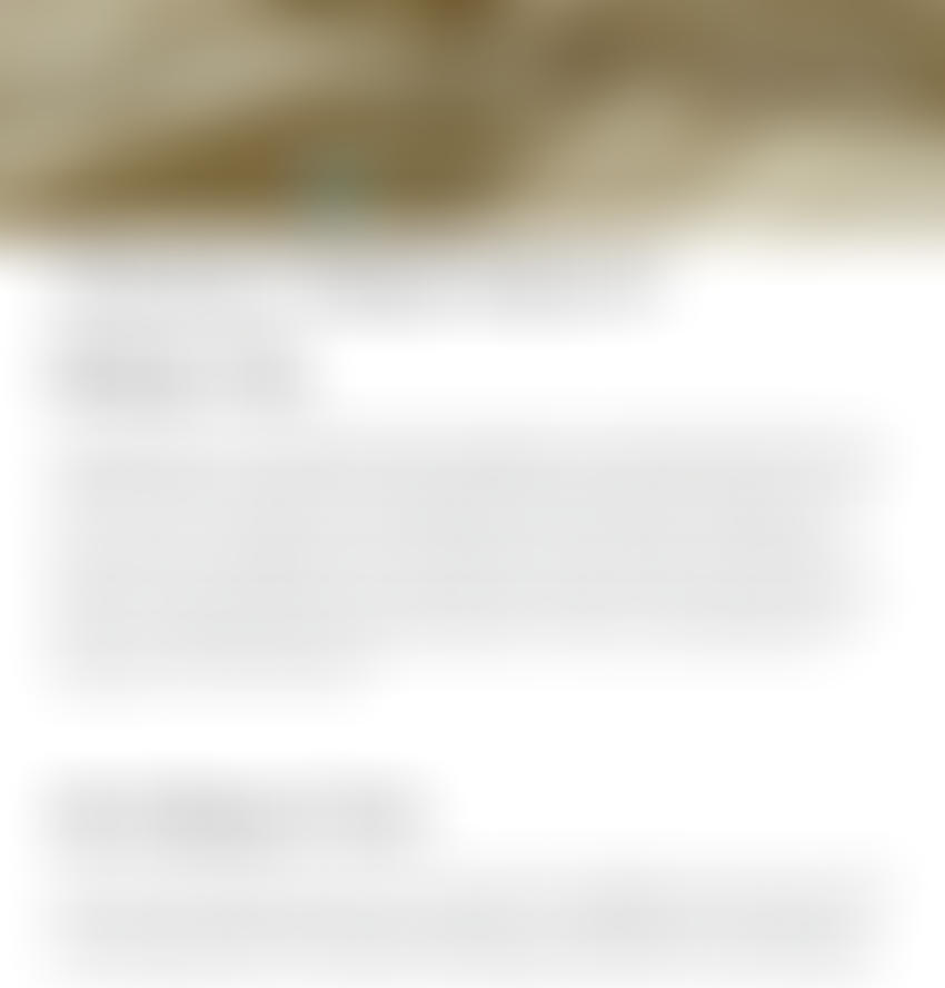 WWW 27--Dialogue Tips--Early Access by writeddreams2reality on DeviantArt