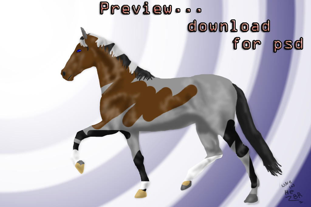 horse psd 1 by horsez-editorBR on DeviantArt