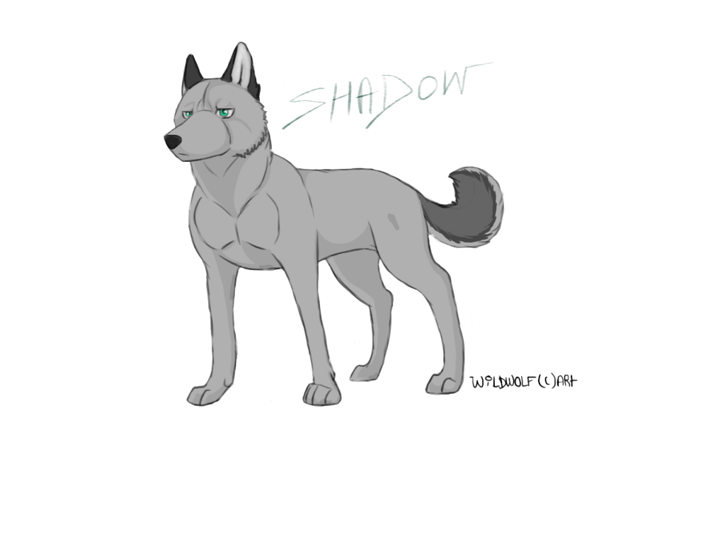 Shadow Request by WildWolfAMPEDART on DeviantArt