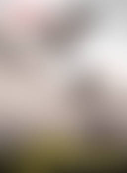 OYG-3D - Hobbyist, Digital Artist | DeviantArt