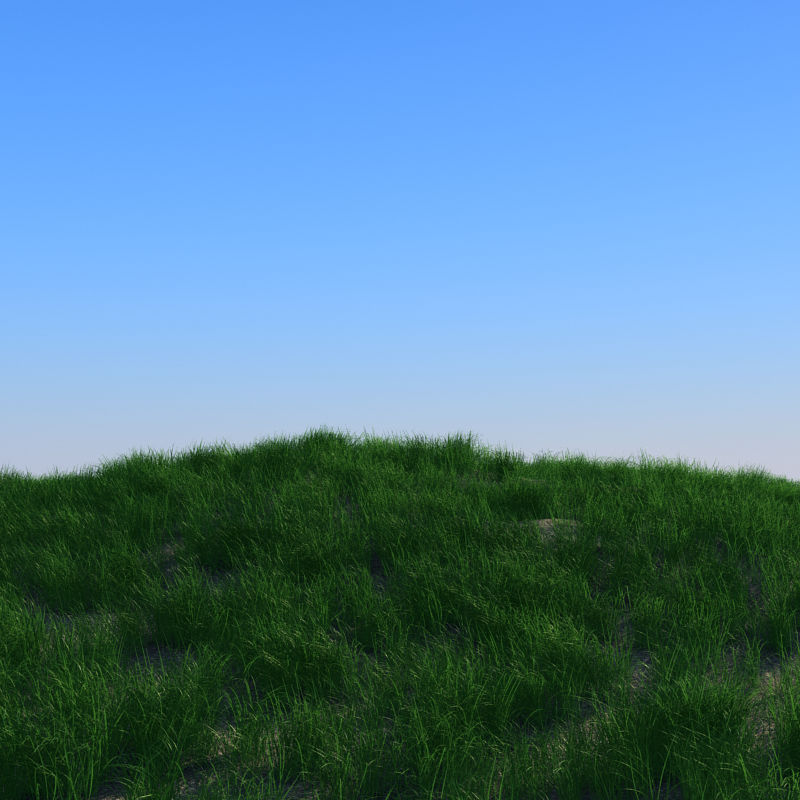 grass_test_10 by flow-tess on DeviantArt
