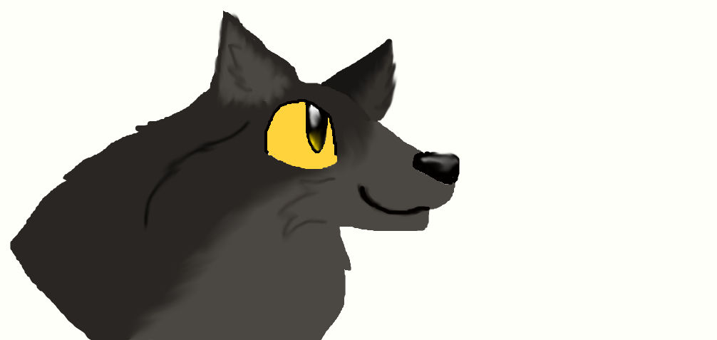 Wolf test by Nightmare2017 on DeviantArt