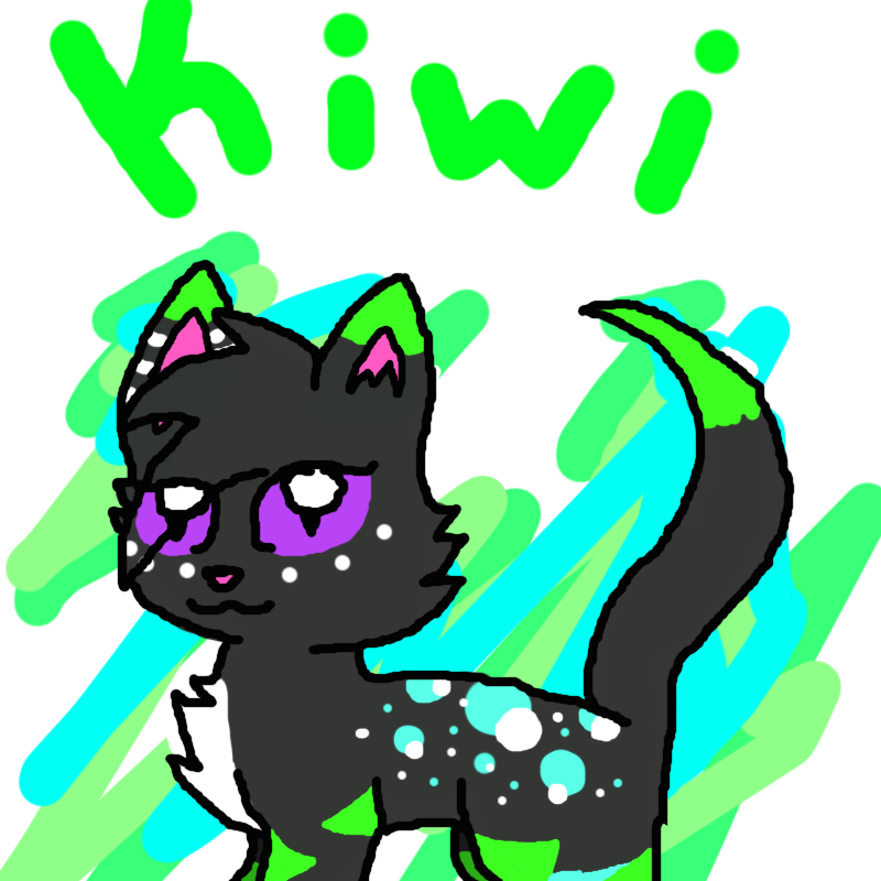 Kiwi the Cat by Spawawa on DeviantArt