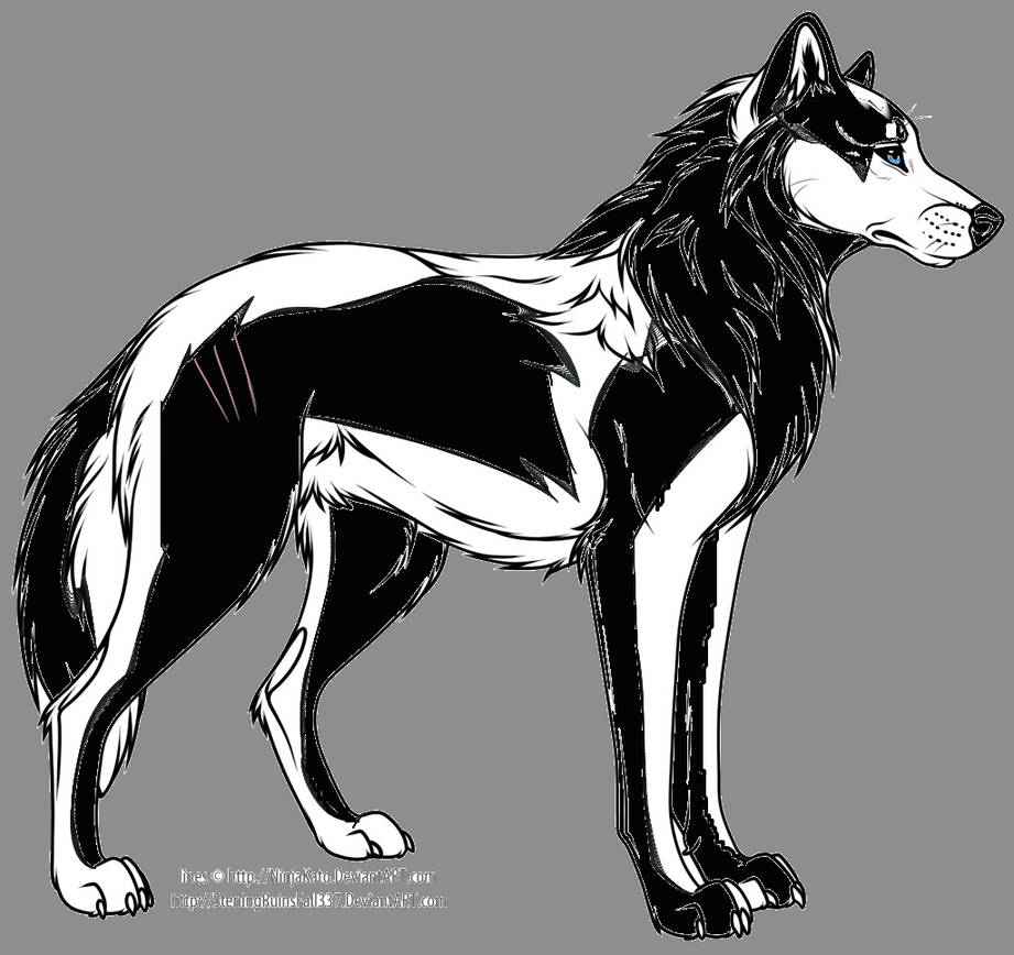 New Oc Zilli meaning My Shadow by werewolftg on DeviantArt New Oc Zilli meaning My Shadow by werewolftg on DeviantArt