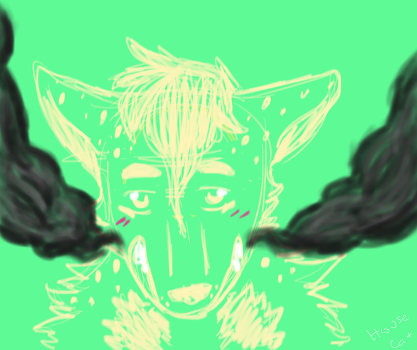 Commission: Borka-Bork (2) by House---Cat on DeviantArt