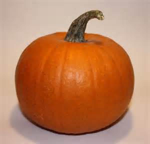 Tom the Pumpkin by Director-on-wheels on DeviantArt