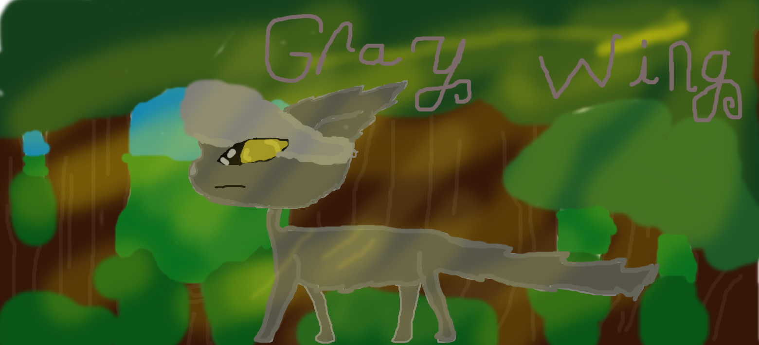 Dawn Of The Clans:Gray Wing by LittleChickenChica on DeviantArt